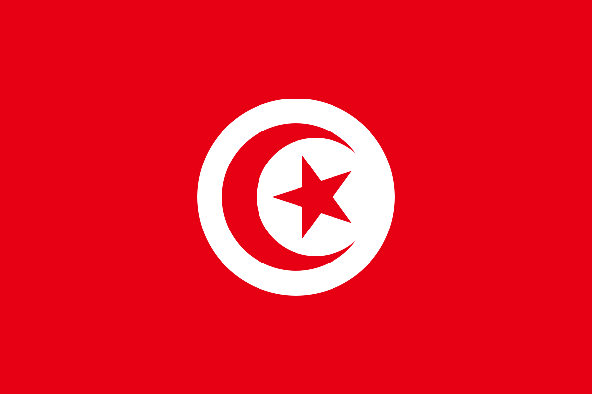Tunisia Languages – Official, National & Regional Language Codes ...