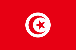 T Countries List: 15 Nations Beginning with Letter T | ISO Codes, Flags ...